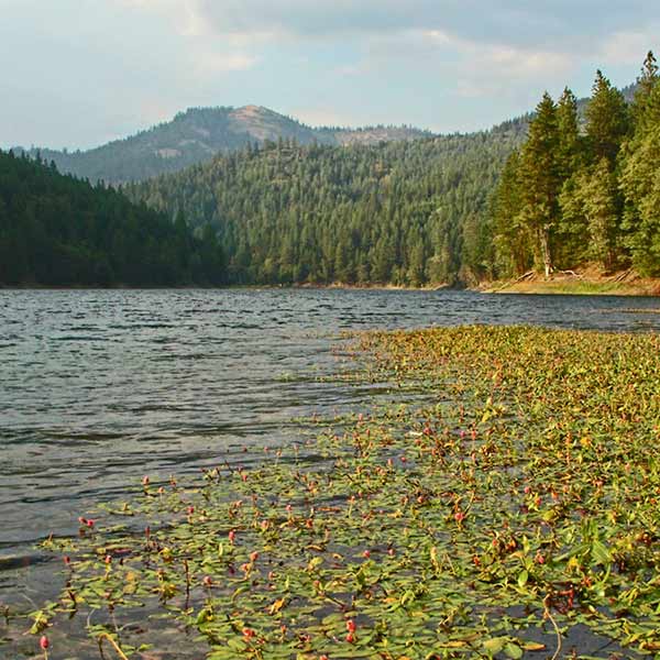 Travel & Accommodations - Granite Man